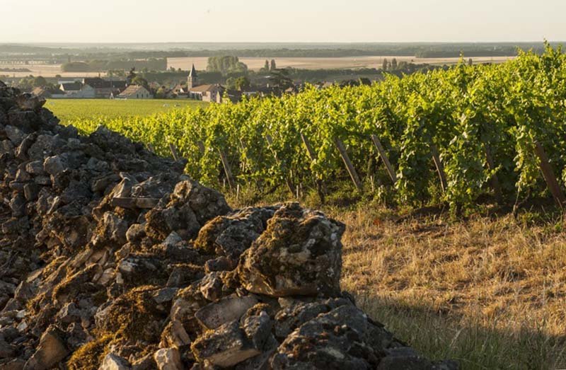 Domaine Emmanuel Rouget | Exceptional Burgundy Wines